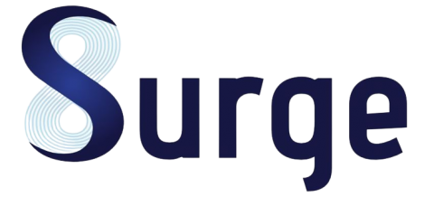 PT Solusi Sinergi Digital | KAP Anwar & Rekan